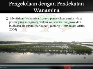 Program wanamina indonesia | PDF