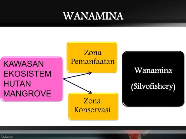 Program wanamina indonesia | PDF