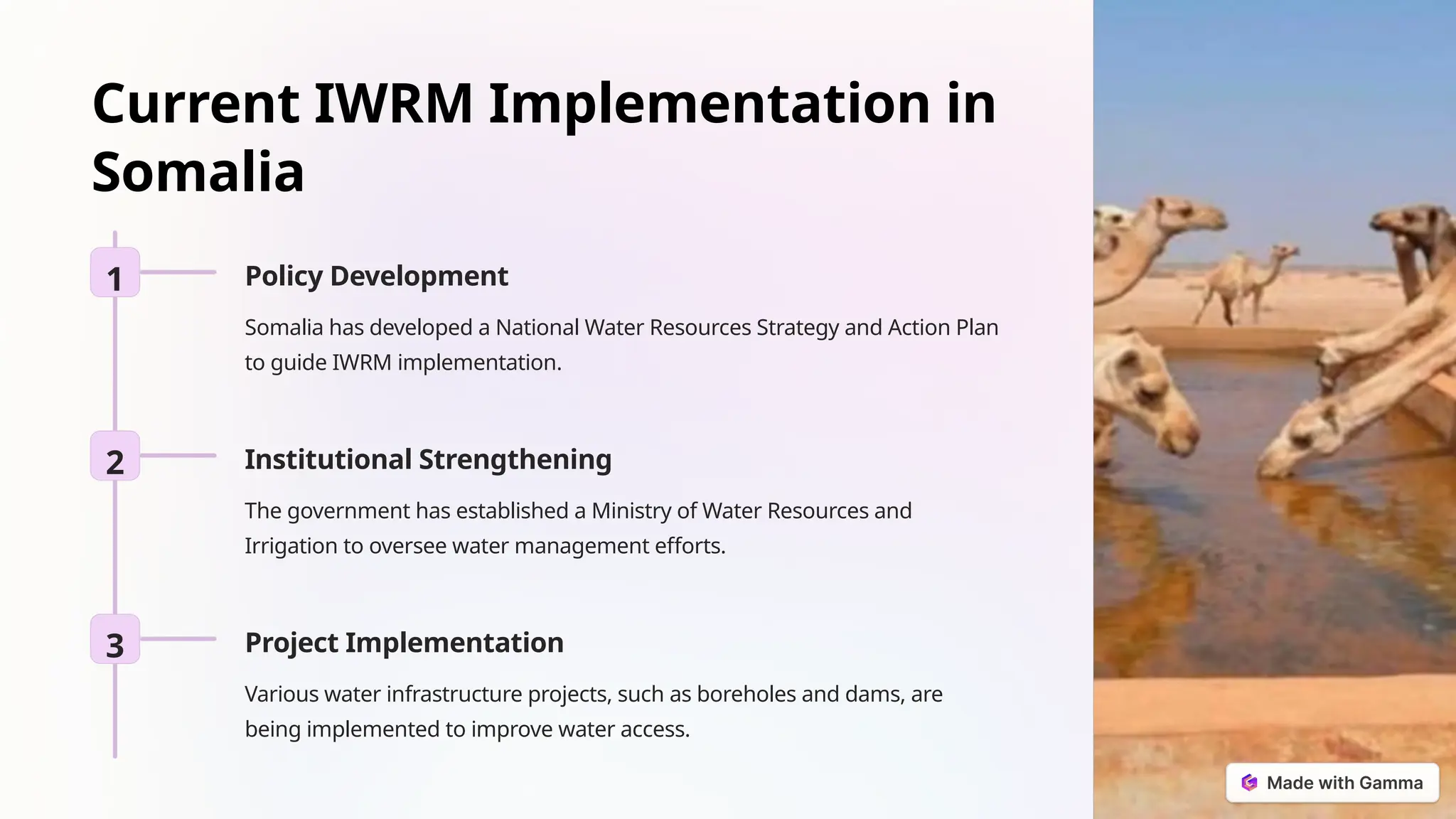 Progress-in-Integrated-Water-Resources-Management-IWRM-Implementation-in-Somalia (1).pptx