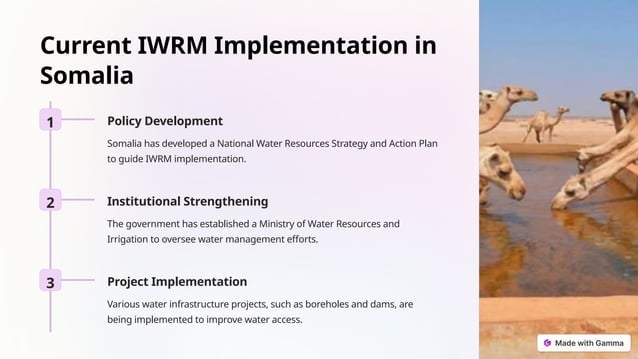 Progress-in-Integrated-Water-Resources-Management-IWRM-Implementation-in-Somalia (1).pptx