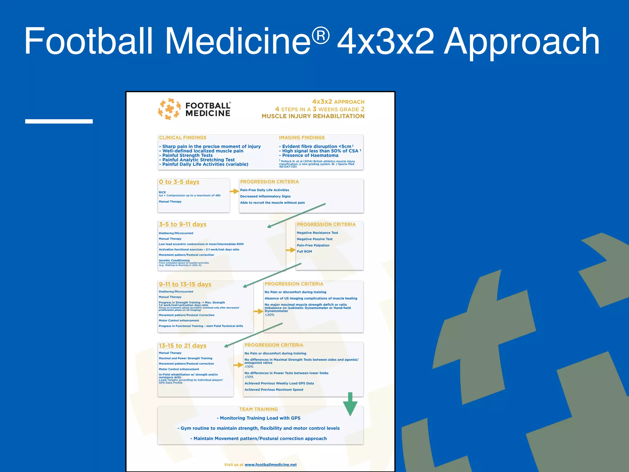 Progression criteria during a muscle injury rehabilitation in football ...