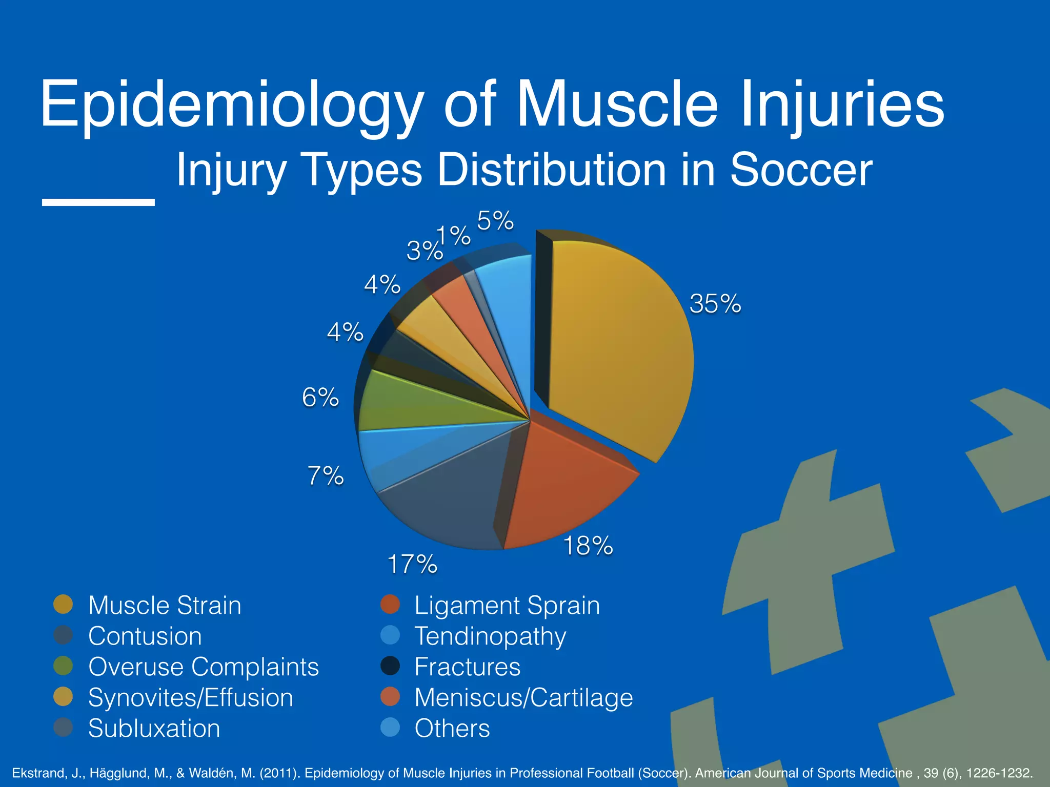 Progression criteria during a muscle injury rehabilitation in football ...