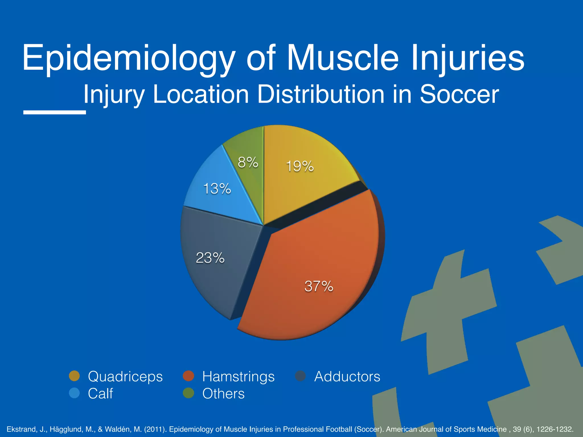 Progression criteria during a muscle injury rehabilitation in football ...