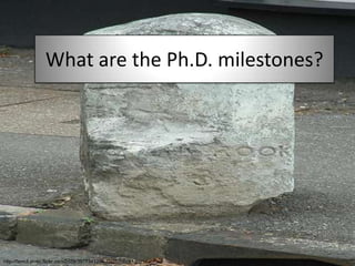 PhD Progression Points | PPTX