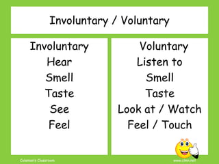 Verb Review- Special Problems with Progressive Verbs | PPT