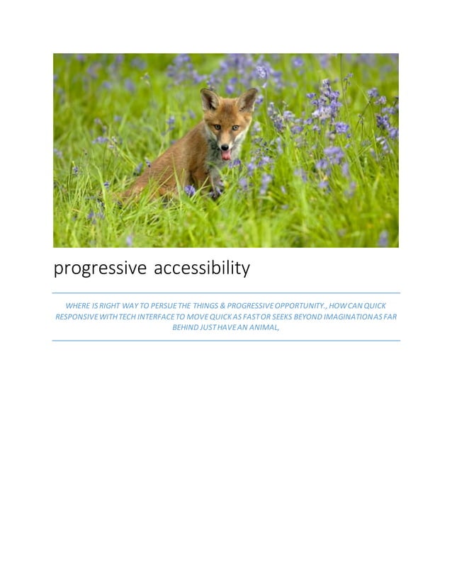 progressive accessibility .pdf