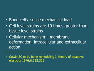 progressive bone loading.pptx