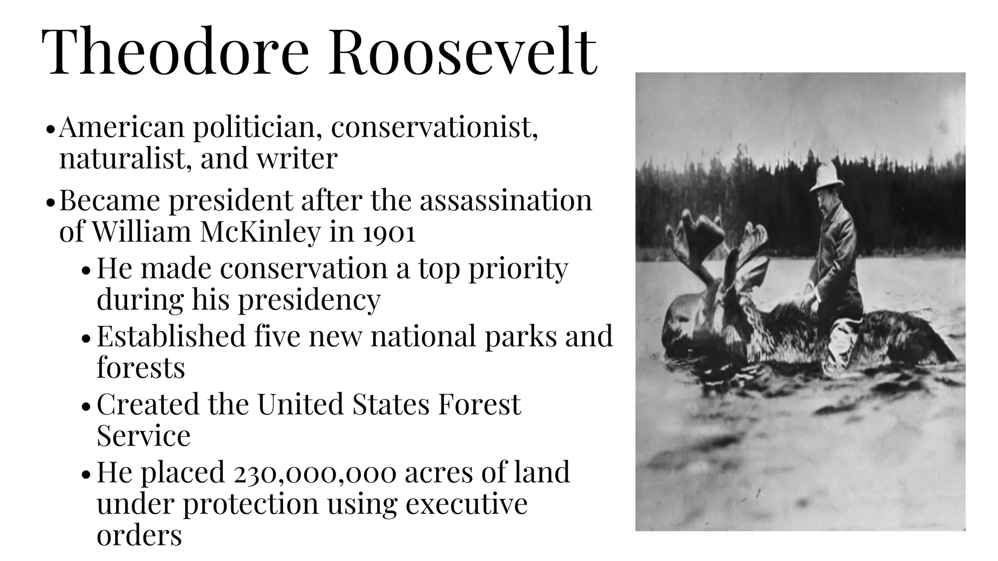 Progressive era muckrakers activists reformers | PPTX