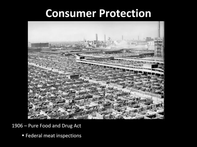 Progressive Era Reforms | PPT