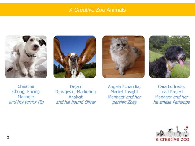 Progressive Pet Insurance | PPTX