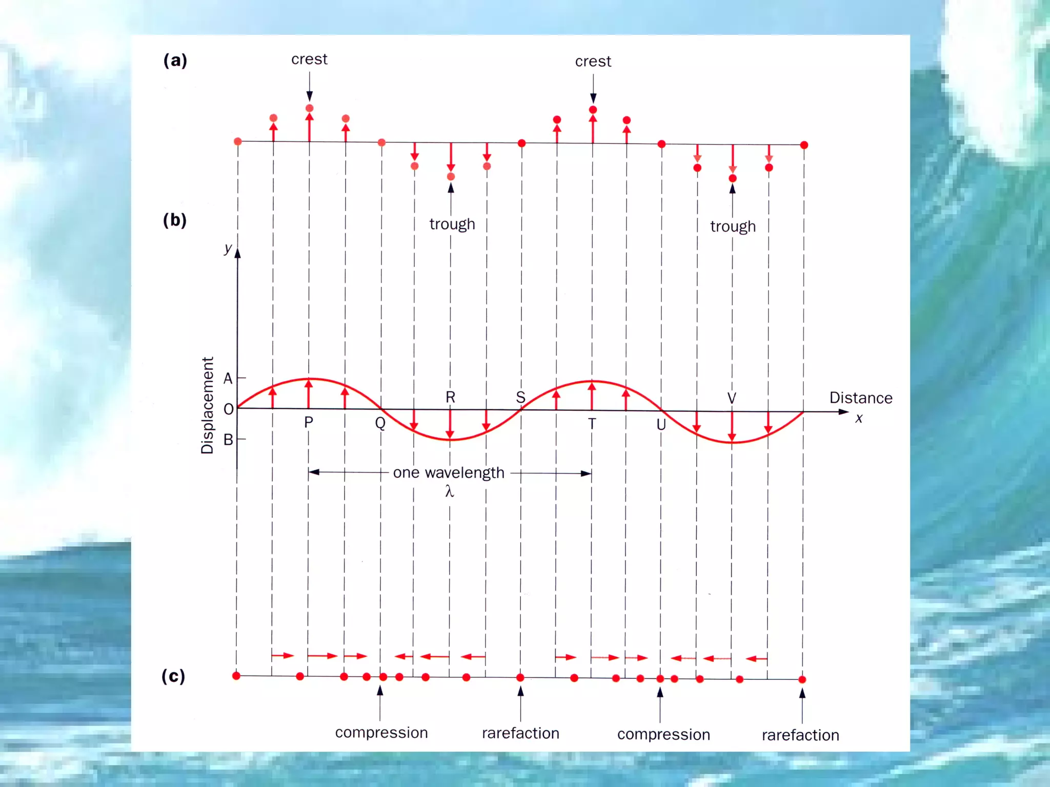 Progressive Waves | PPT