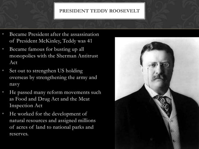 Progressivism | PPTX | Civic affairs | Politics