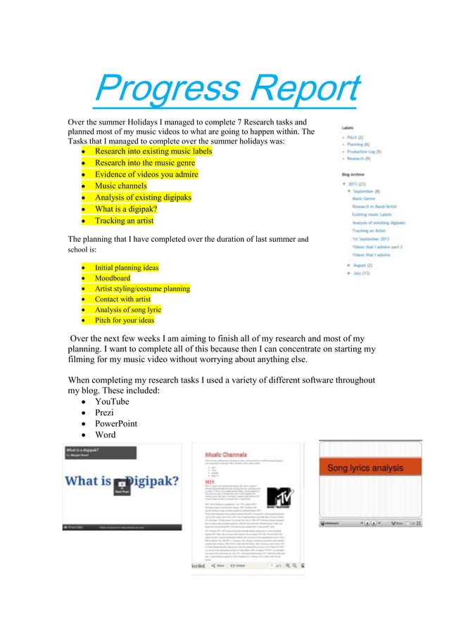 Progress report | PDF