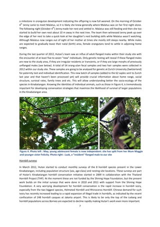 Progress report HUTAN july-december 2012 | PDF