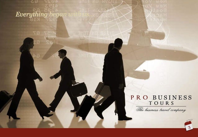 Pro Group Presentation.pdf