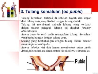 progsus anfis reproduksi.pptx