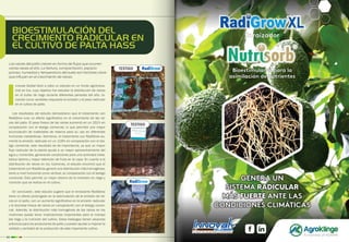 Prohass.pdf