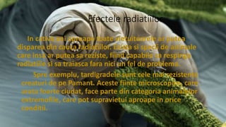 Proiect | PPTX