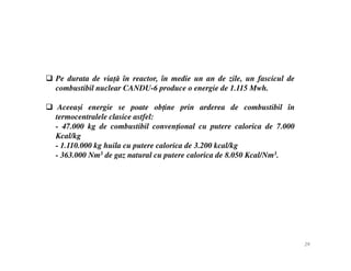 Proiect-final_grupa-10CN.pdf