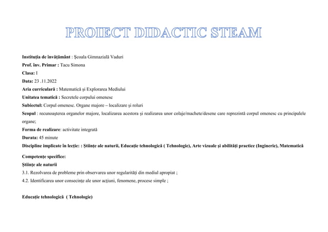proiect - Simona.docx