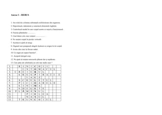 proiect - Simona.docx