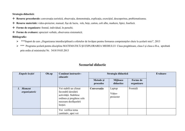 proiect - Simona.docx