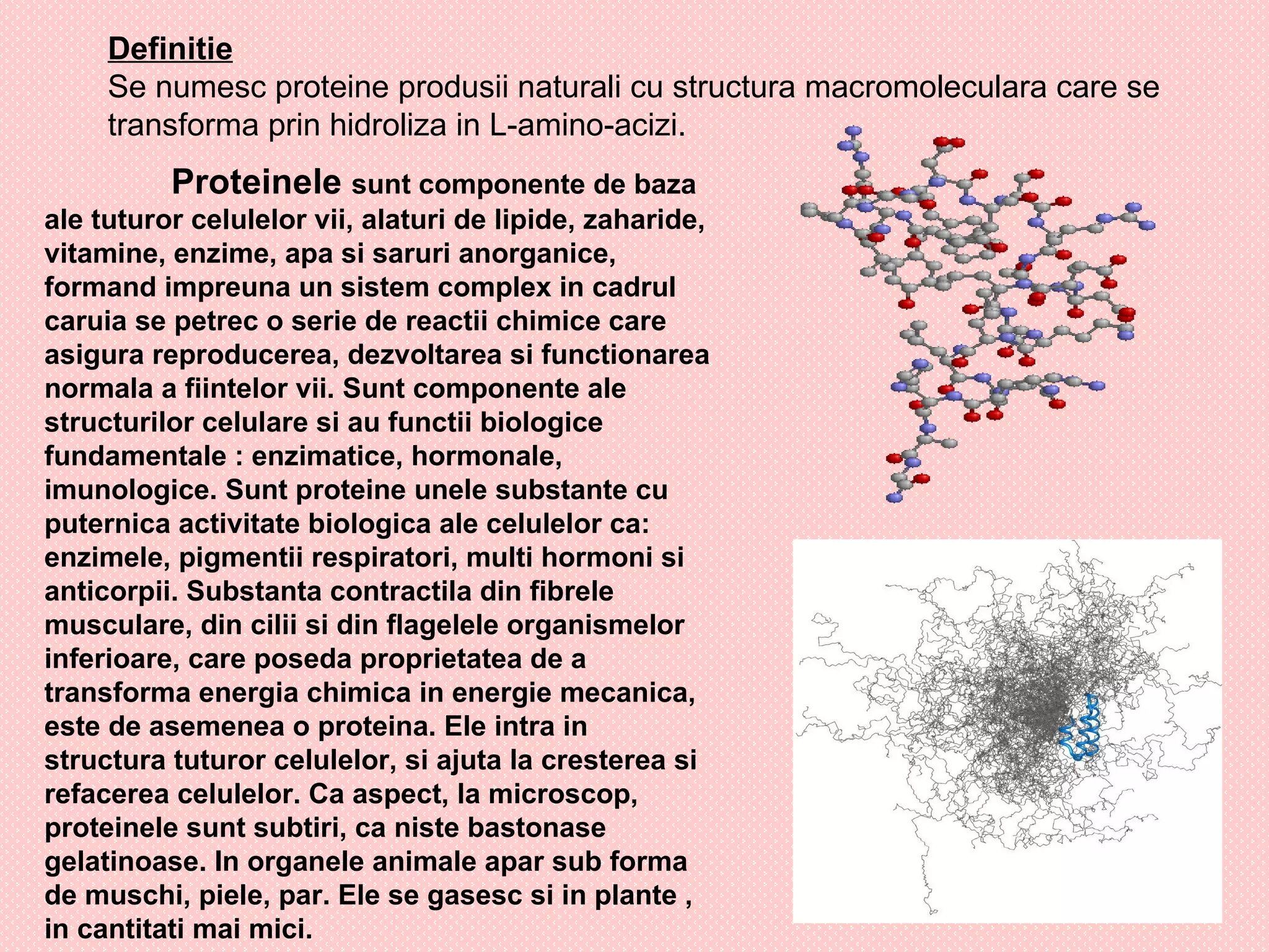 Proiect11 b decu_daniela | PPT