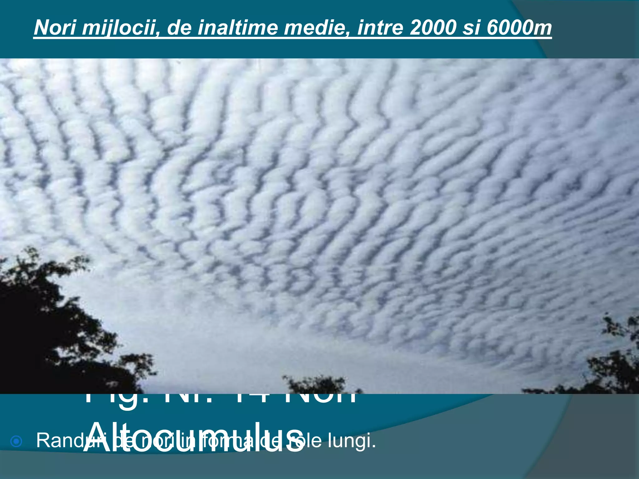 Proiect5 meteo | PPTX