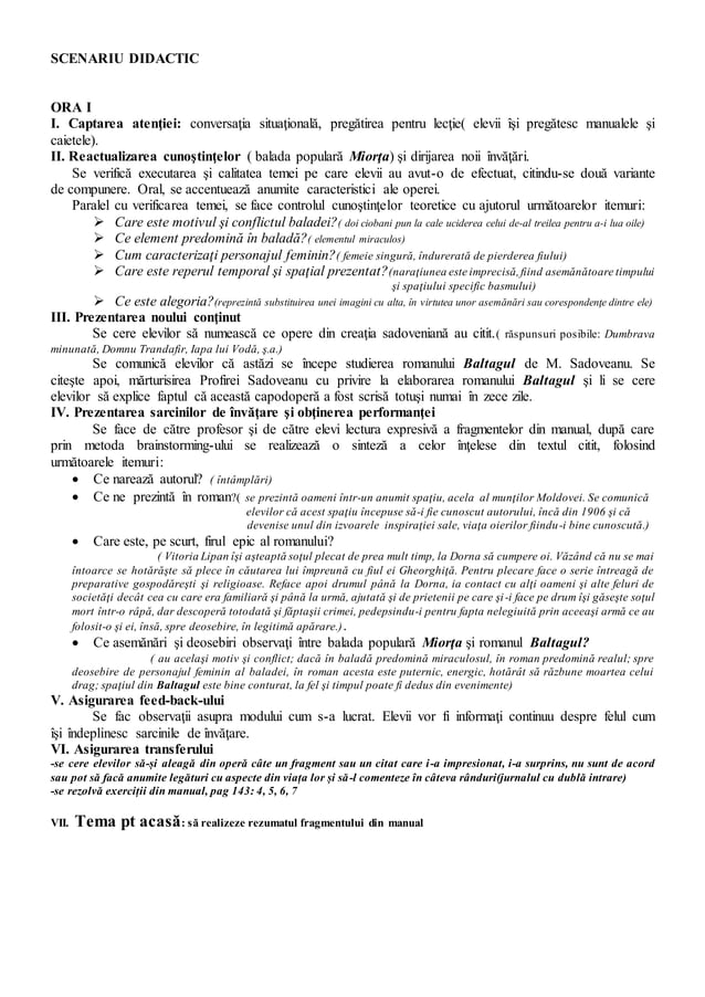 Proiect baltagul | PDF