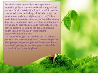 Proiect bio | PPTX