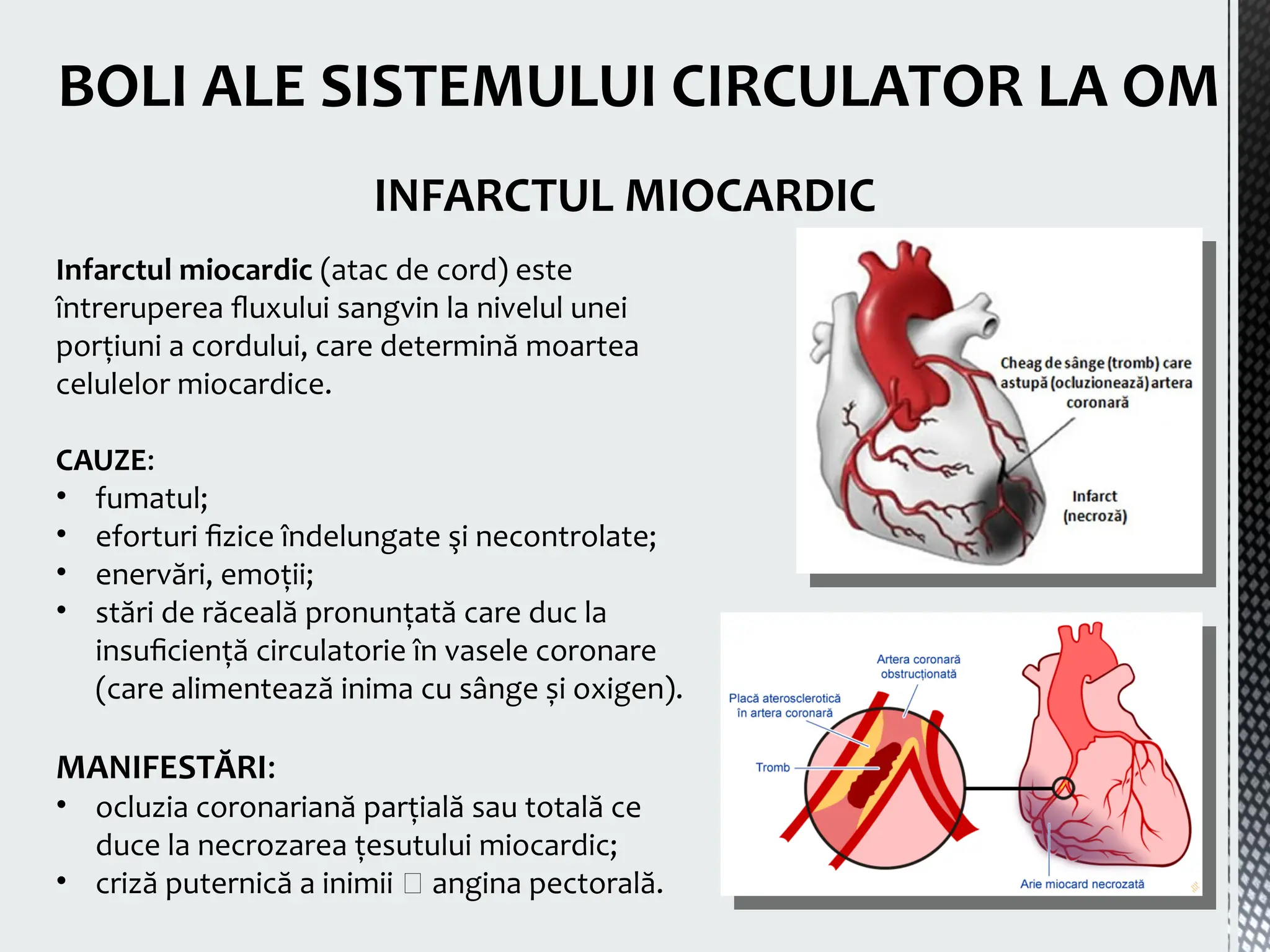 Proiect biologie.pdf.htttpppfrree, no money | PDF