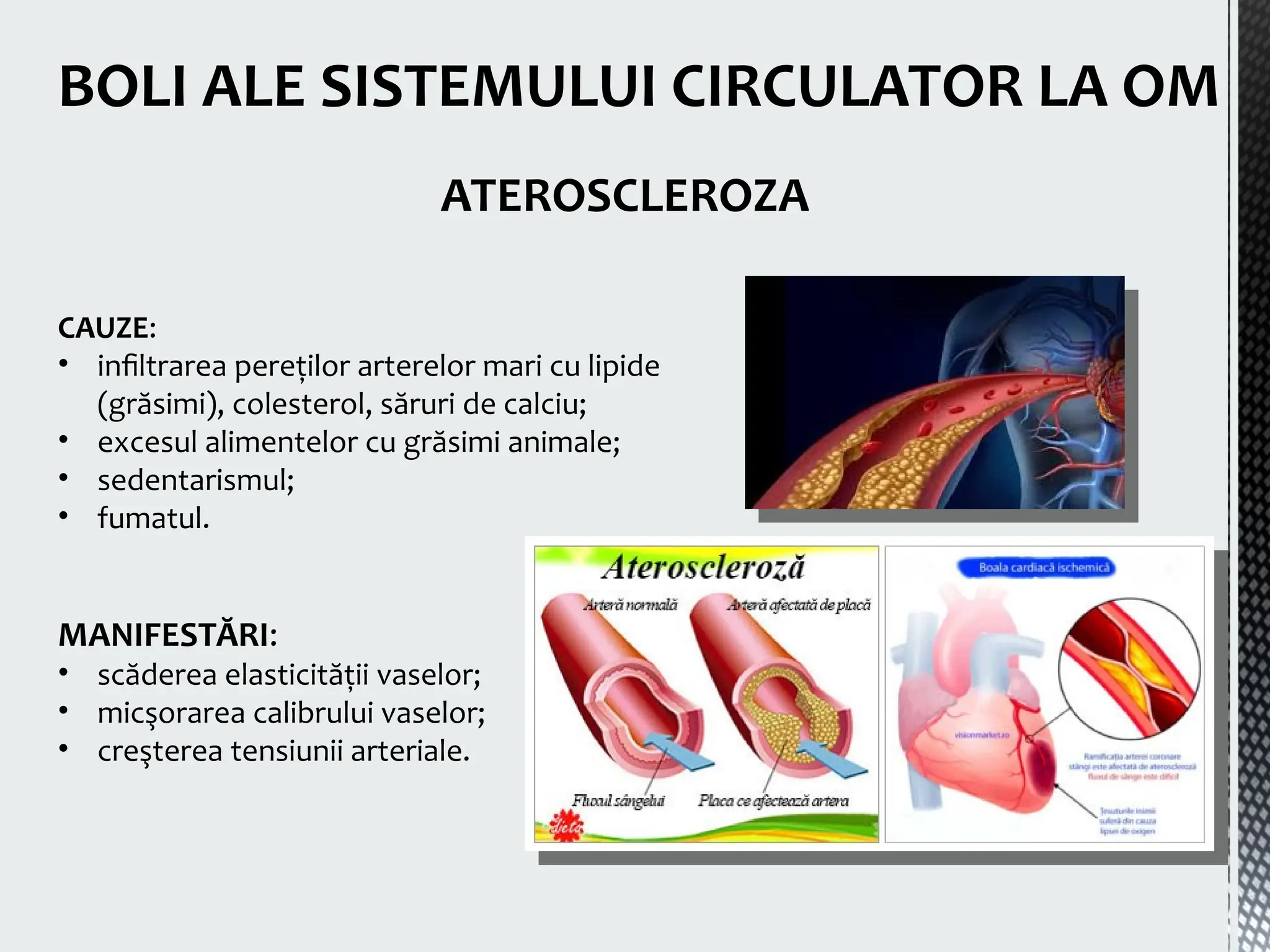 Proiect biologie.pdf.htttpppfrree, no money | PDF