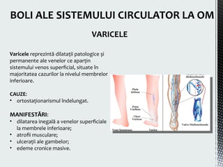 Proiect biologie.pdf.htttpppfrree, no money | PDF