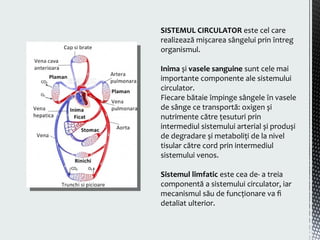 Proiect biologie.pdf.htttpppfrree, no money | PDF