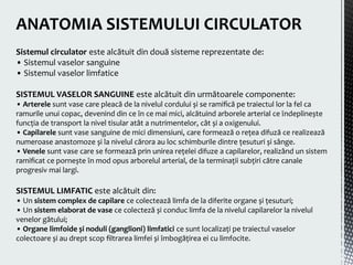 Proiect biologie.pdf.htttpppfrree, no money | PDF