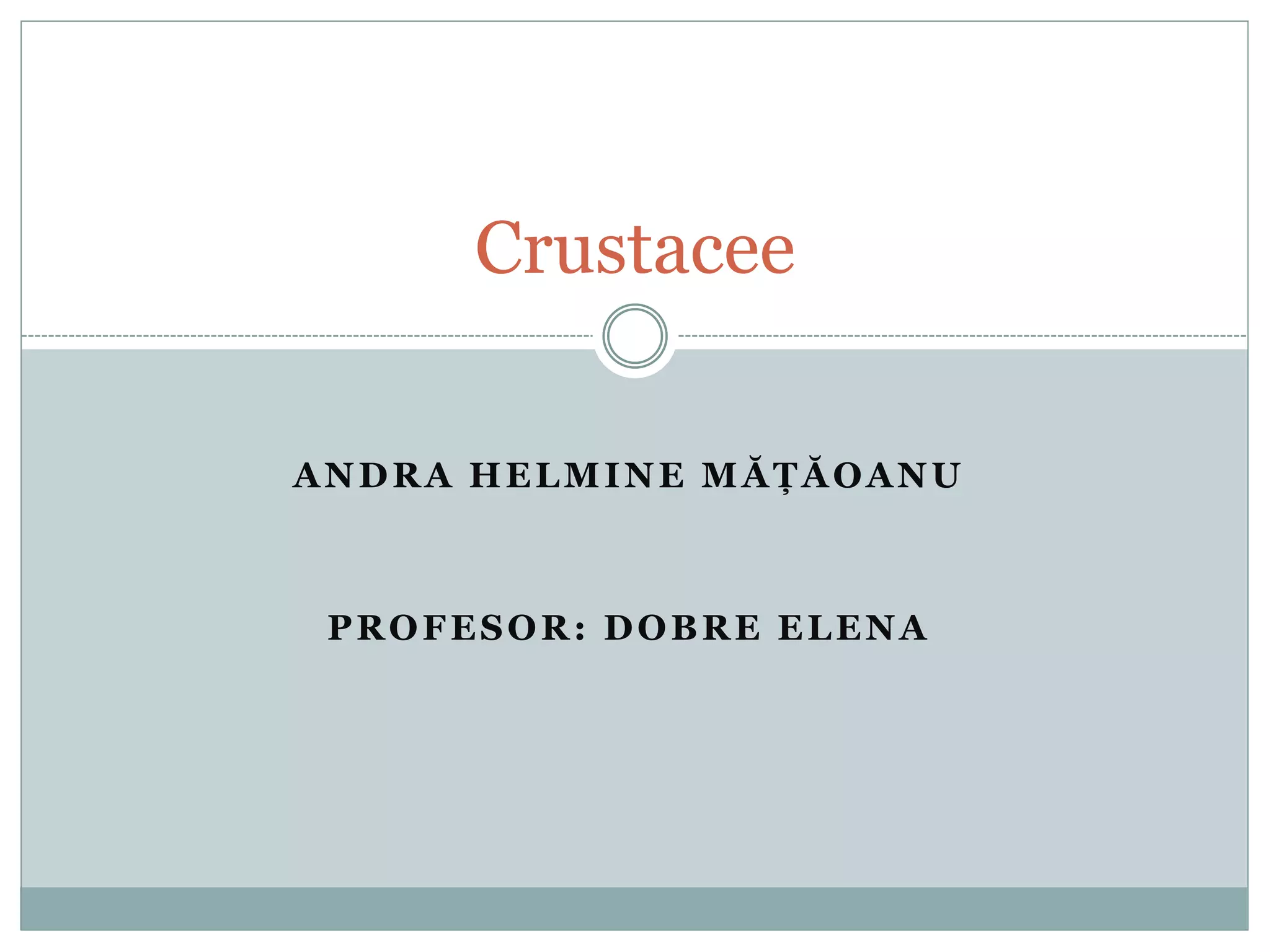Proiect biologie-crustacee.pptx