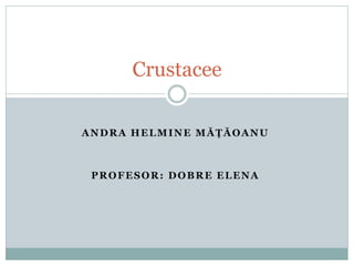 Proiect biologie-crustacee.pptx