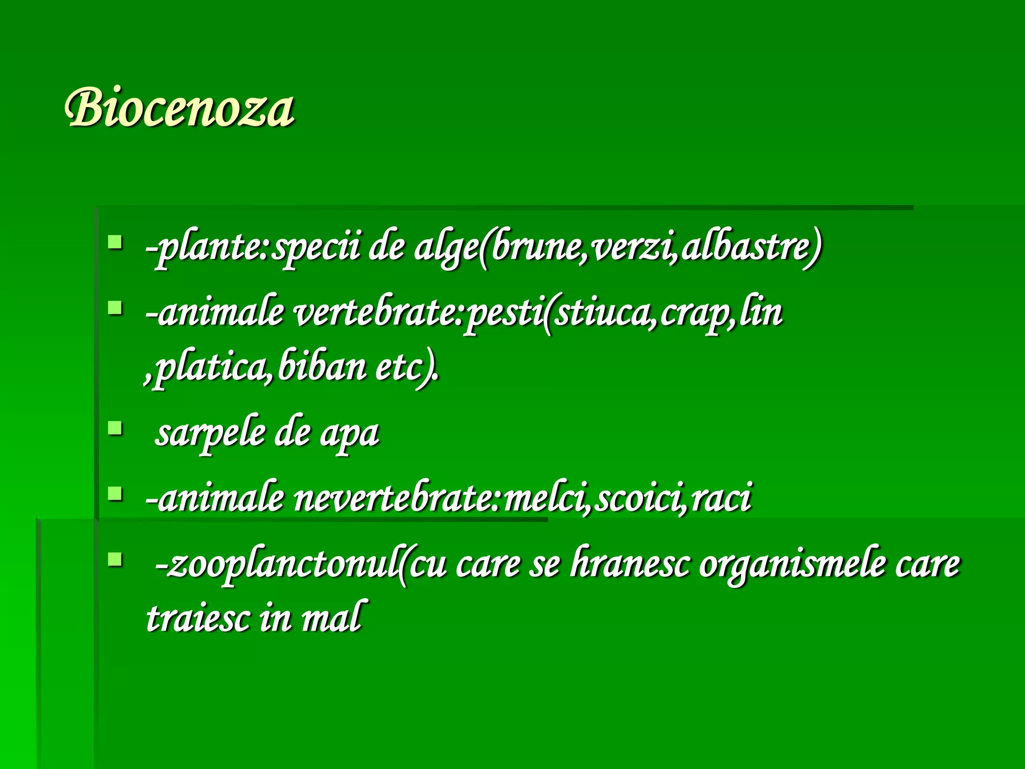 Proiect biologie delta dunarii | PPT