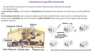 Proiect Biologie- Szilagyi Bernardo.pptx