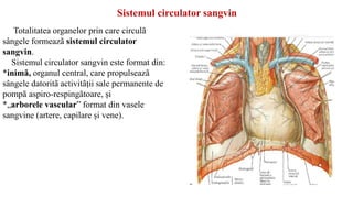 Proiect Biologie- Szilagyi Bernardo.pptx
