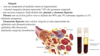 Proiect Biologie- Szilagyi Bernardo.pptx