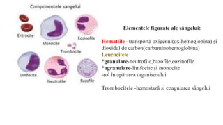 Proiect Biologie- Szilagyi Bernardo.pptx