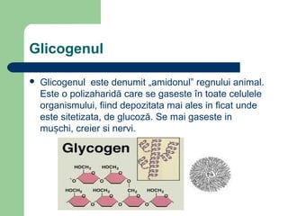 Proiect chimie , zaharidele | PPT