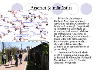 Proiect(comuna puchenii mari) | PPT