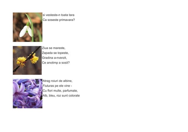 Proiect_convorbire.pdfffffffffffffffffffffffffffffff | PDF