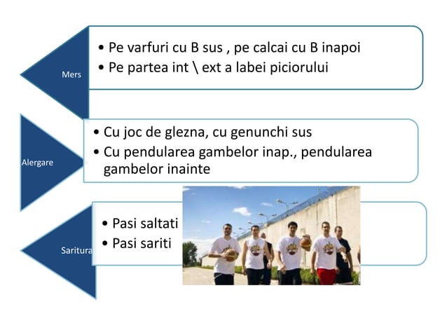 Proiect de lectie andi | PPTX