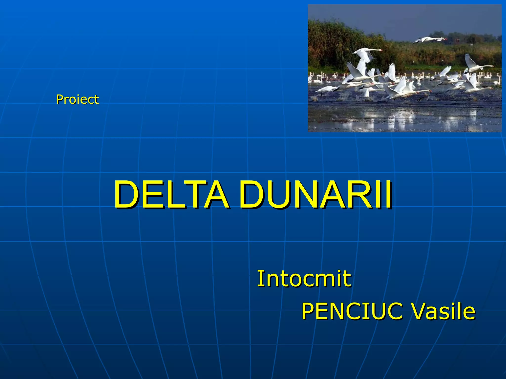Proiect delta dunarii | PPT