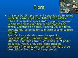 Proiect delta dunarii | PPT