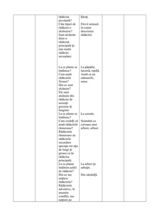 Proiect didactic clasa a 5a radacina sovea lavinia | DOC