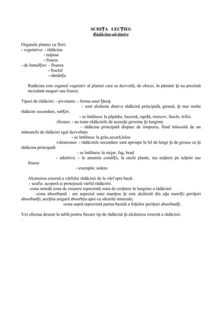 Proiect didactic clasa a 5a radacina sovea lavinia | DOC